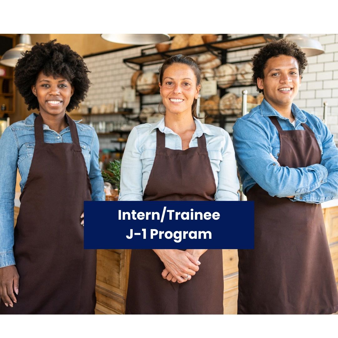 Intern|Trainee